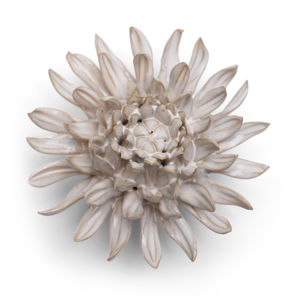 Coastal Ceramic Flower Ivory Spider Mum – Chive Plant Studio