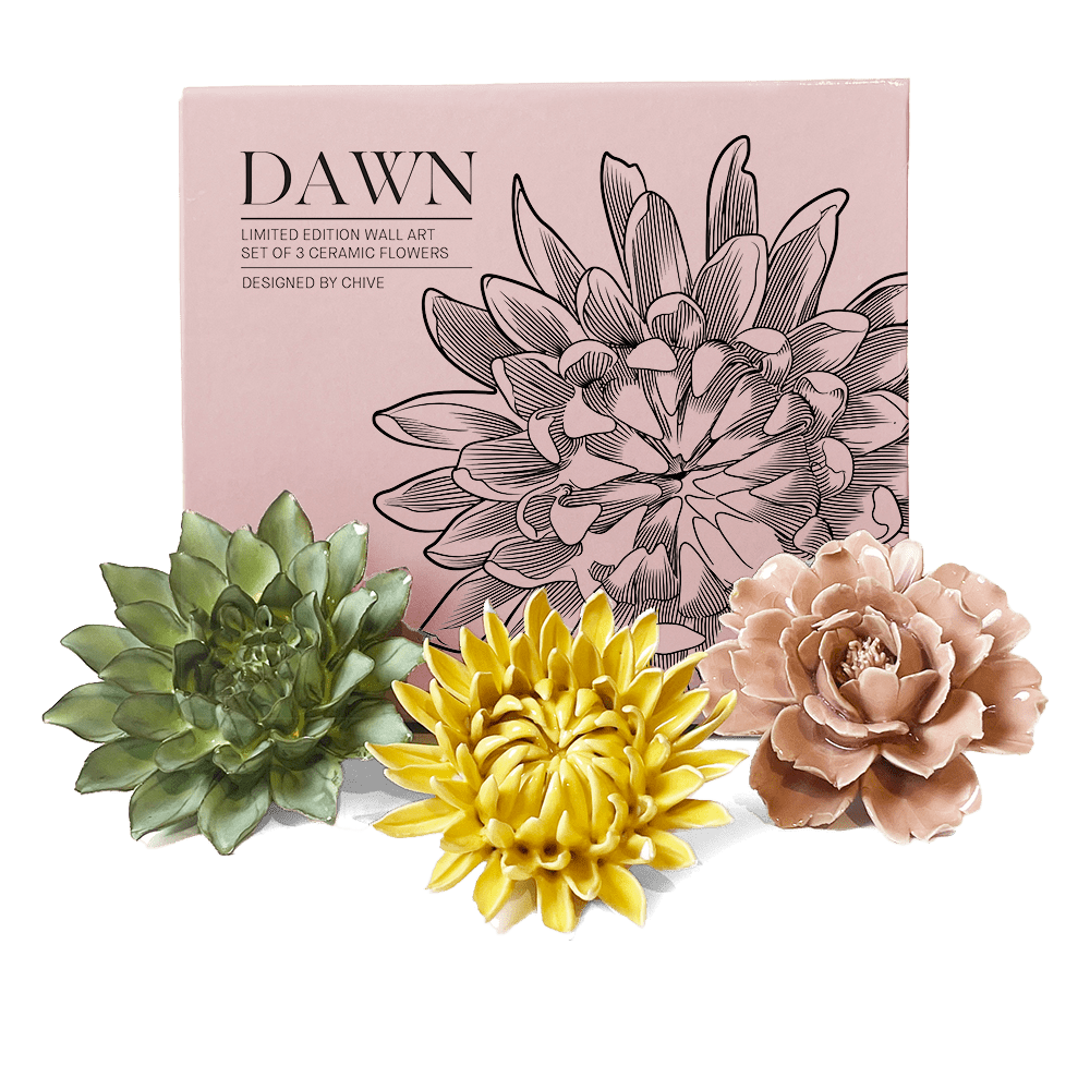 Ceramic Flower Dawn Box Set – Chive Plant Studio