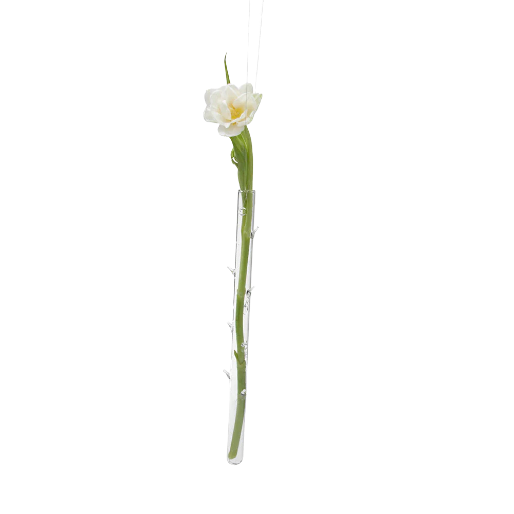 Hanging Thorn Glass Modern Clear Flower Vase – Chive Plant Studio