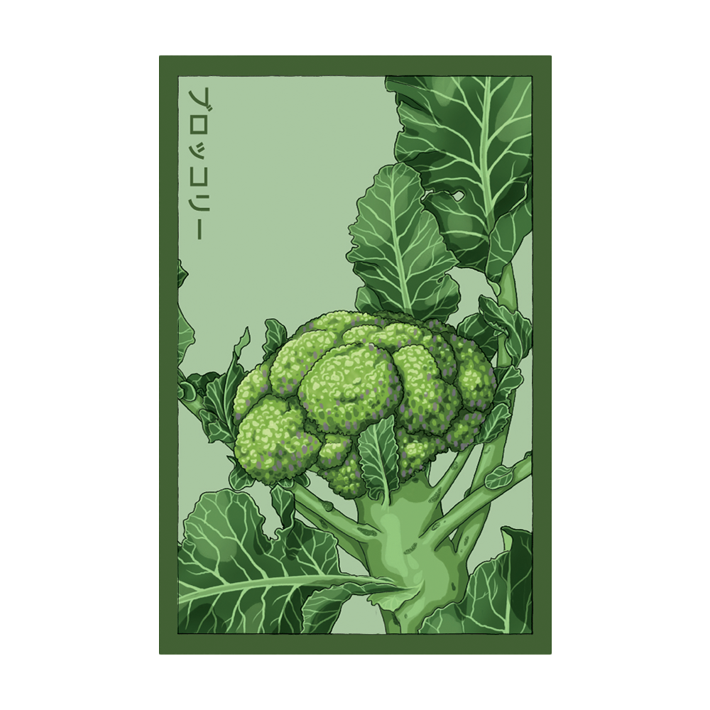 Broccoli Vegetable Seeds Packet – Chive Plant Studio