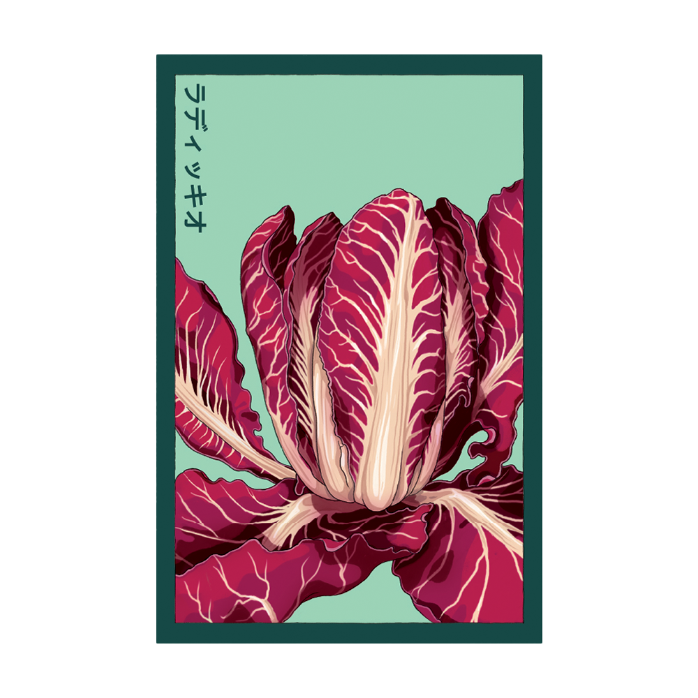 Radicchio Vegetable Seeds Packet – Chive Plant Studio