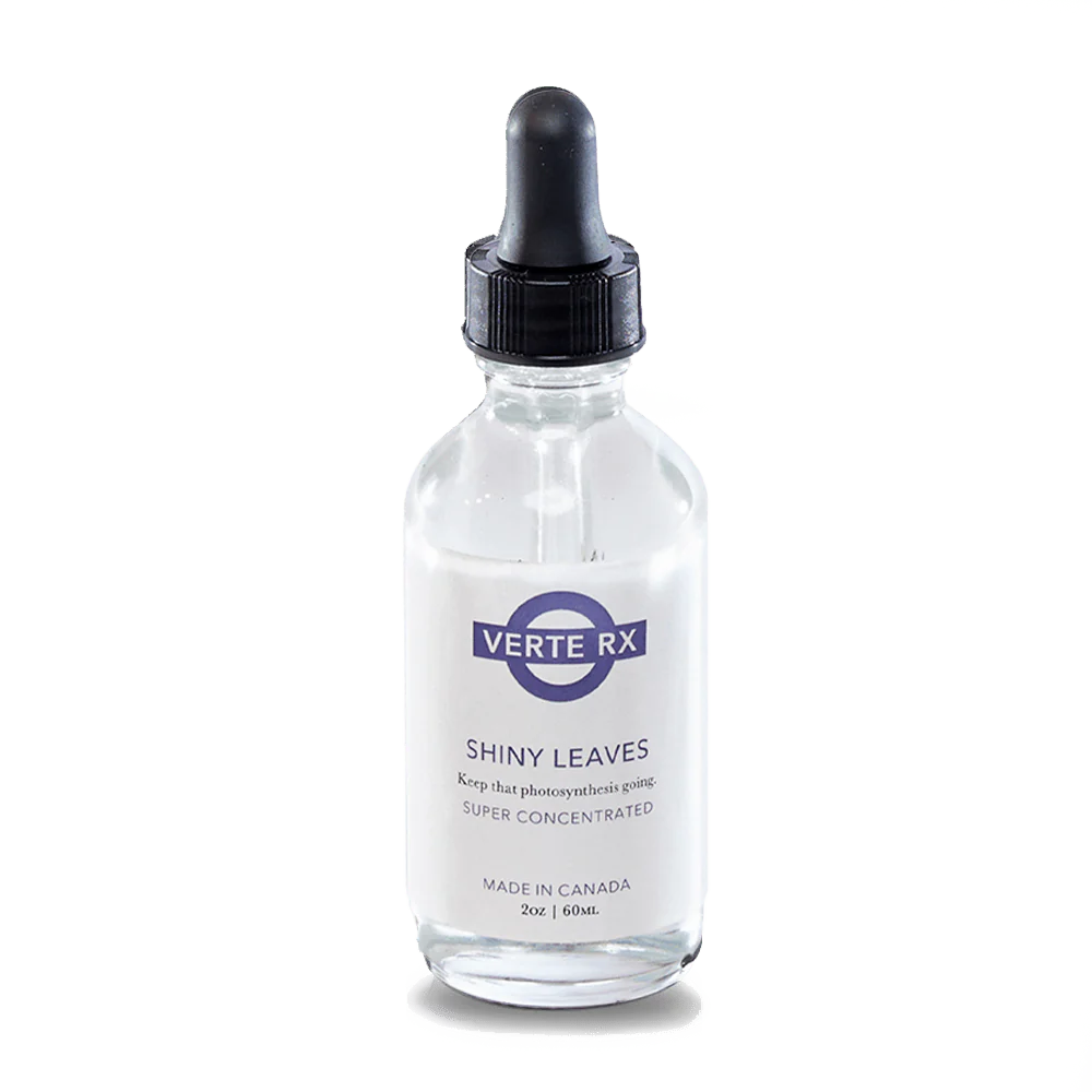 Verte Rx Shiny Leaves for Plants – Chive Plant Studio